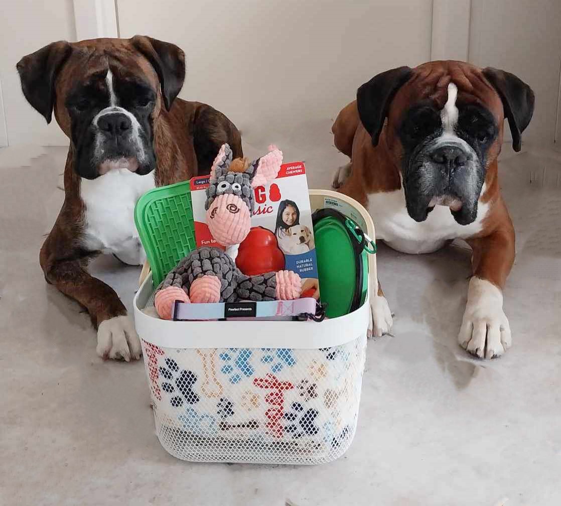 Shop All | Pawfect Presents